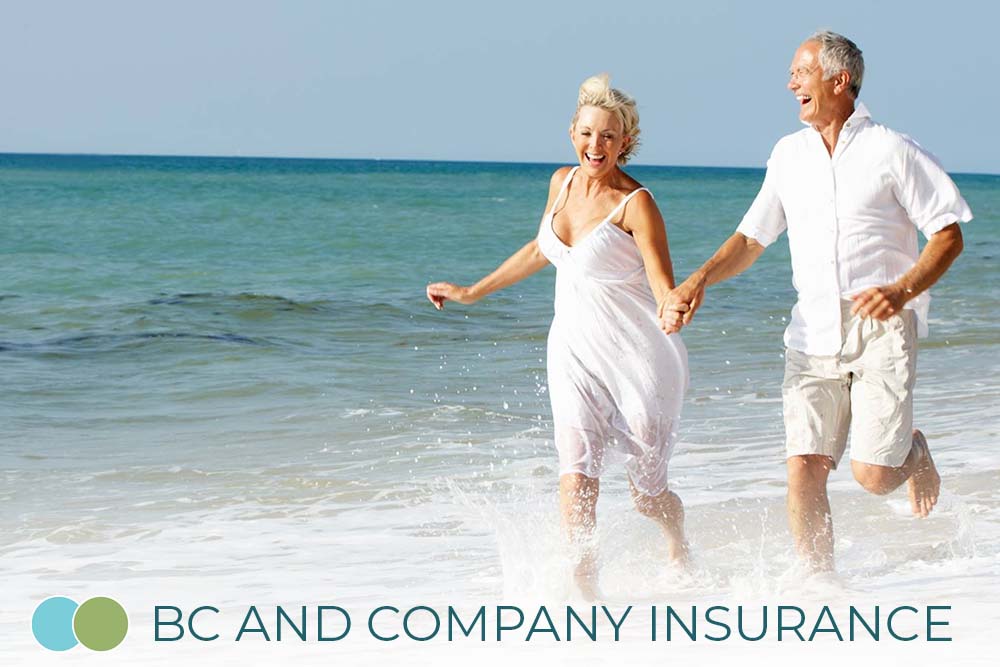 Insurance Services - BC and Company Insurance - Palm Harbor FL